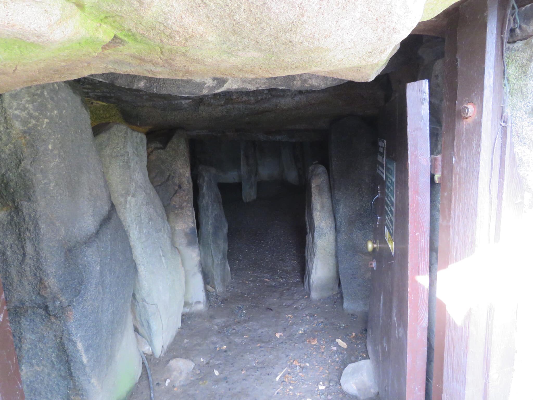 Services – Discover dowsing