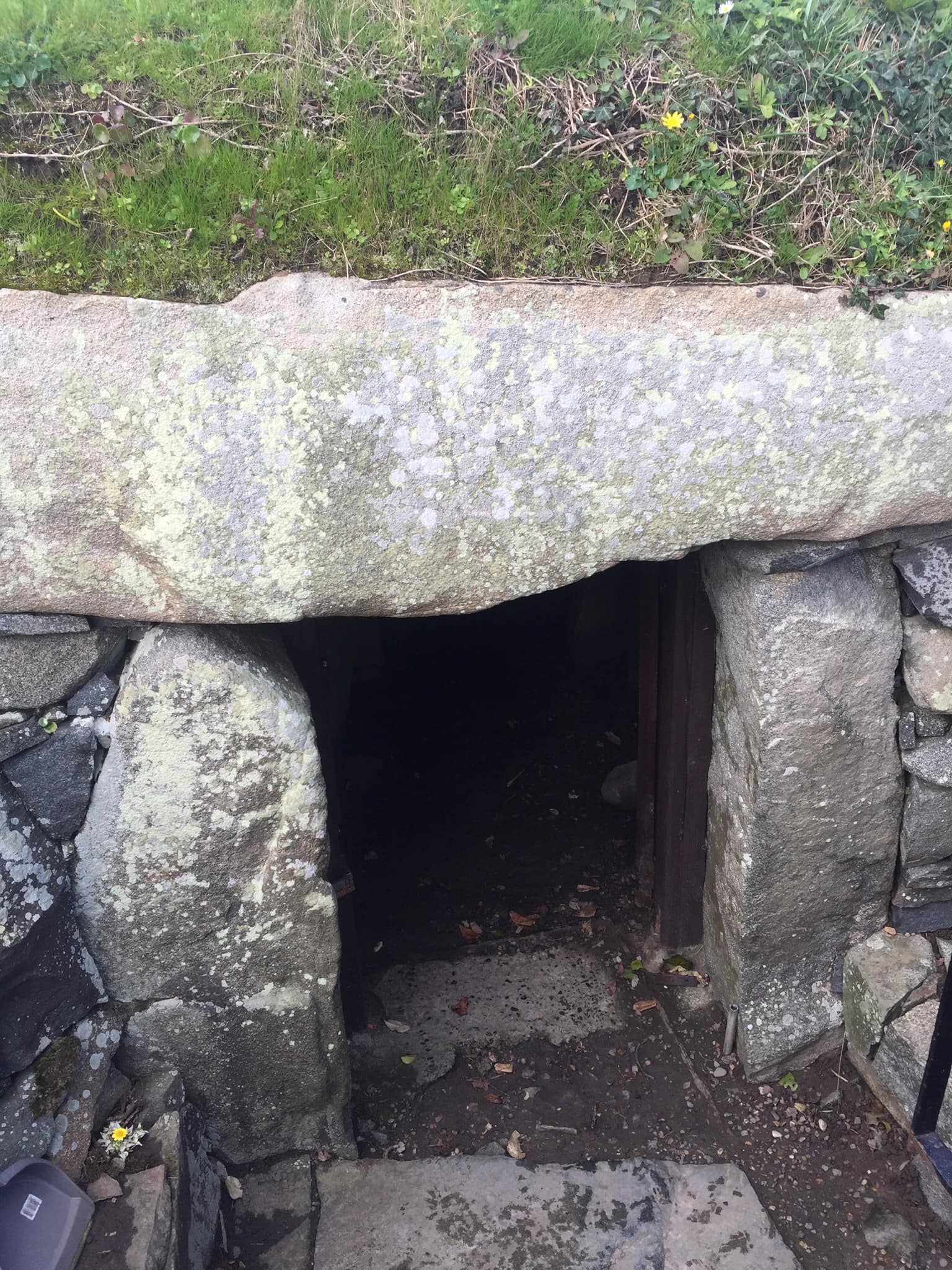 Services – Discover dowsing